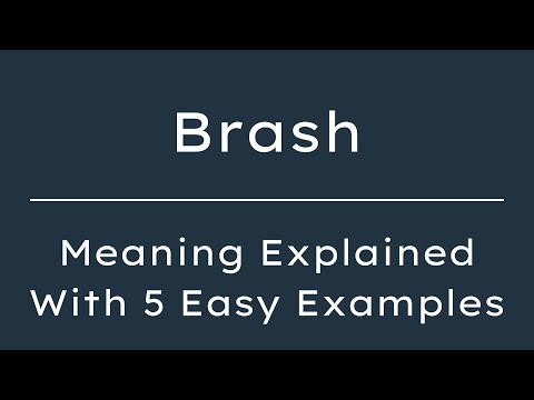 What Does Brash Mean? Brash Meaning in English With 5 Example Sentences