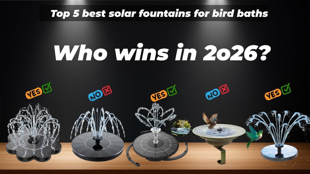 ✅ Top 5 best solar fountains for bird baths [Watch This Before You Make a Choice!]