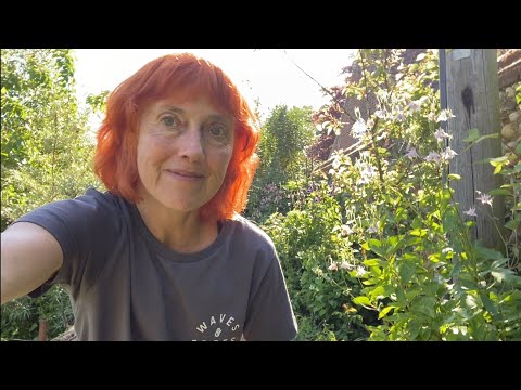 Wayside Beauty and Shooting Stars: Norfolk Cottage Days