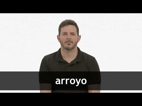 English Translation of “ARROYO” | Collins Spanish-English Dictionary