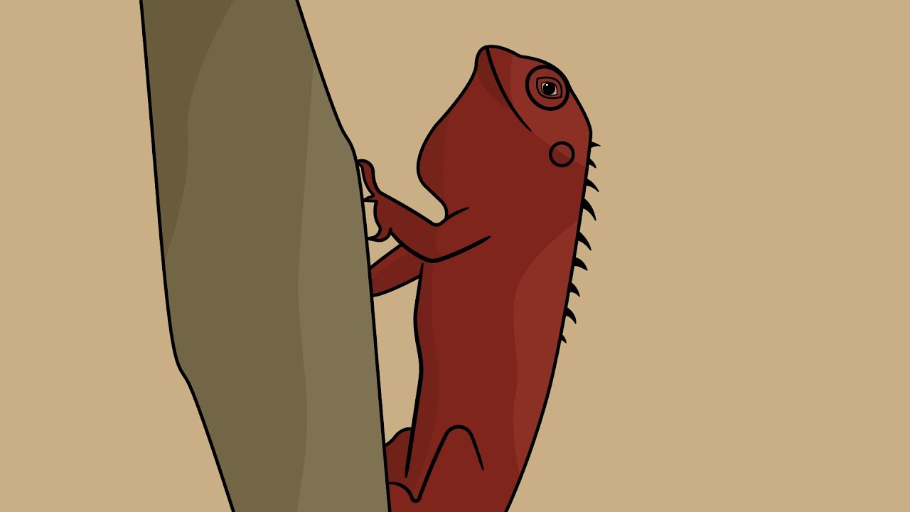 Adobe Illustrator - Create a Lizard