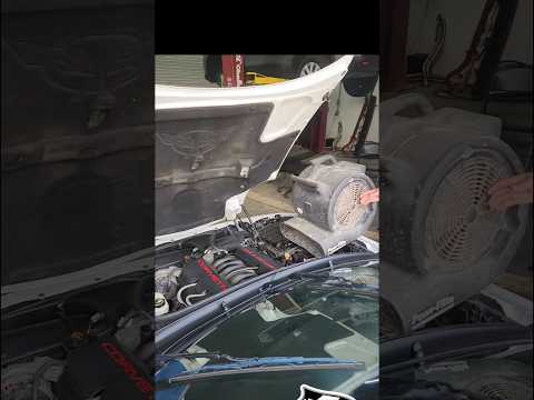 LS3 cammed-up Corvette sounds like it's ready for war you gotta hear this