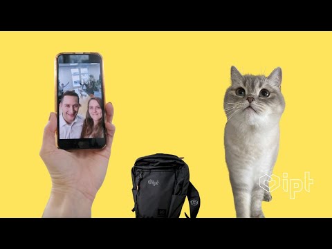 POV: Steffis ipt Reise