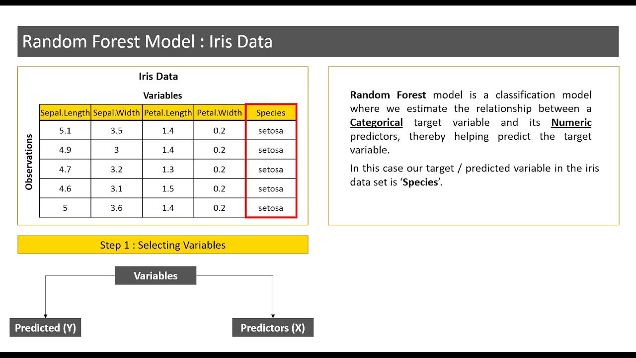 Random Forest Model - Iris Data