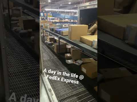FedEx Express Sorting