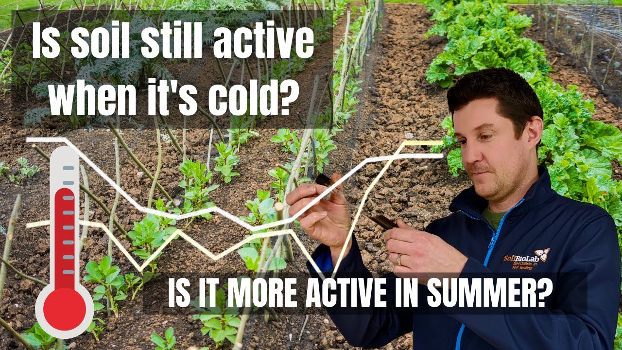 Know how soil temperature changes in impact microbial activity in your food crops