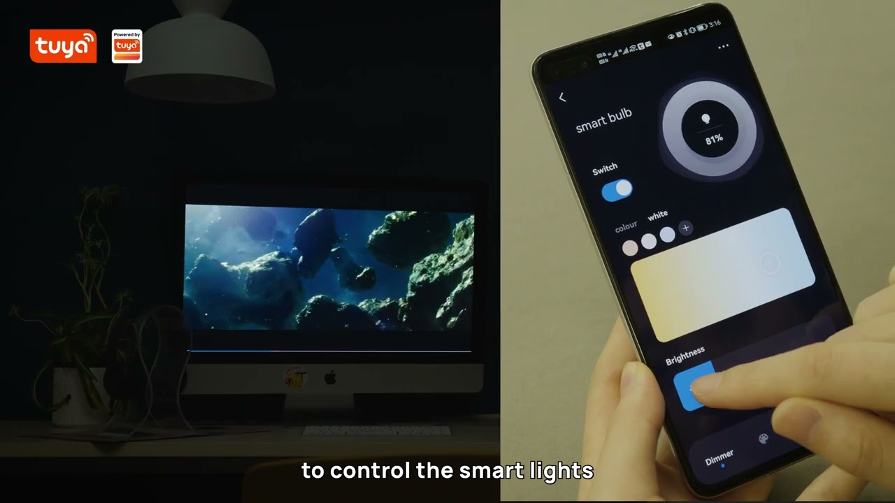Tuya Smart Switch Compatible with Smart Lighting