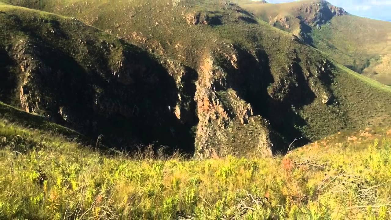 Breede Escape & Leopard Trail