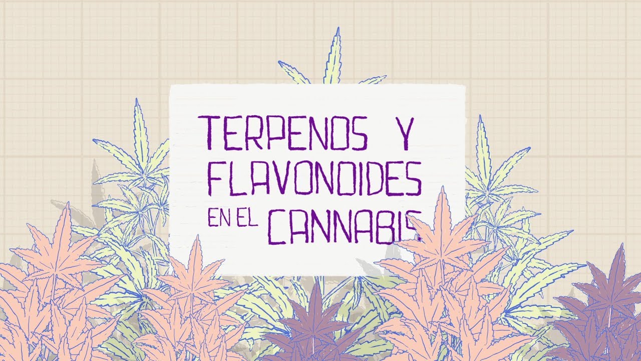 Terpenos y Flavonoides - Español