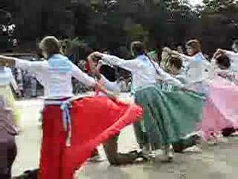 BAILE DEL PERICÓN NACIONAL ARGENTINO. | kropasquini