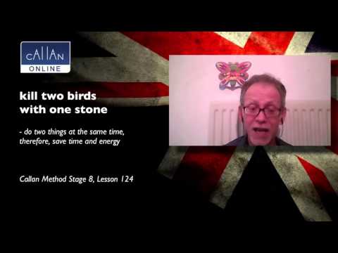 Kill two birds with one stone - Callan Online