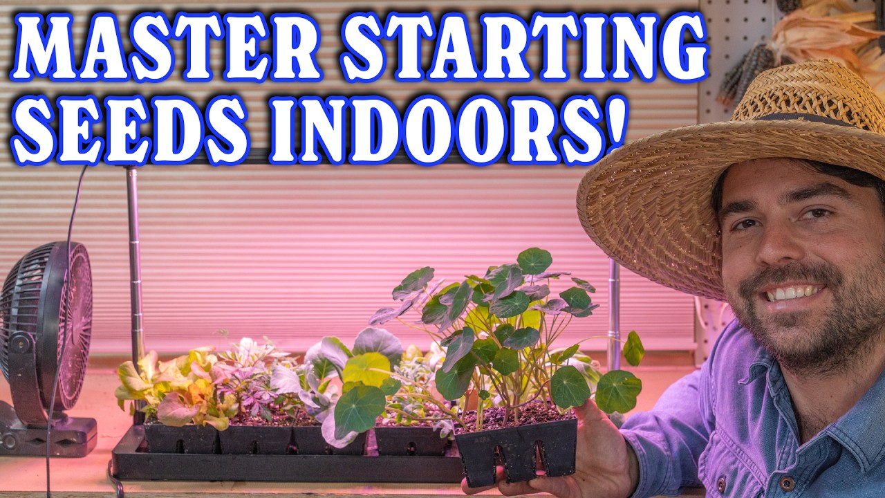 How I Start Seeds Indoors: From Sowing To Planting!