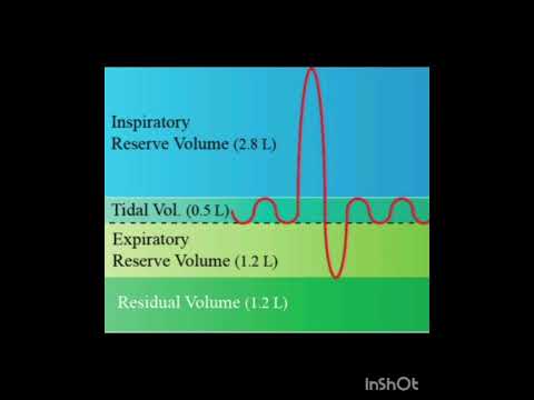 Lung volumes - Tidal volume, Inspiratory and Expiratory Reserve volume, Residual volume