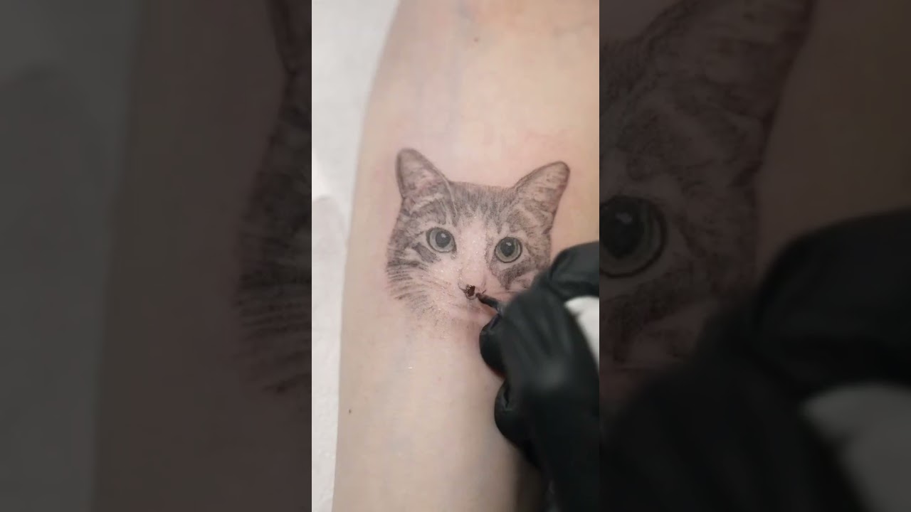 😺Cat portrait from photo (Портрет котика по фото) Microrealism tattoo 5 cm. From photo🐈‍⬛