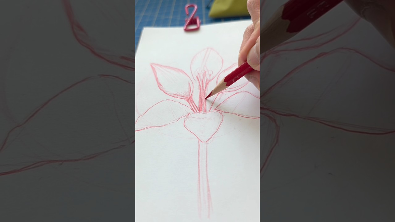Sketching a Bright Red Lily I Found on My Walk | Nature Sketchbook Inspiration 🌺✏️ | Sketch with Me