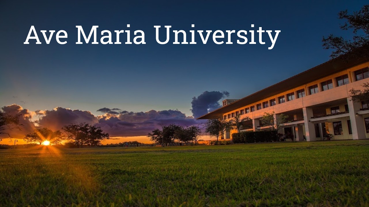 Ave Maria University Comparison 