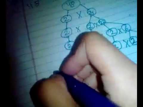 factor Tree