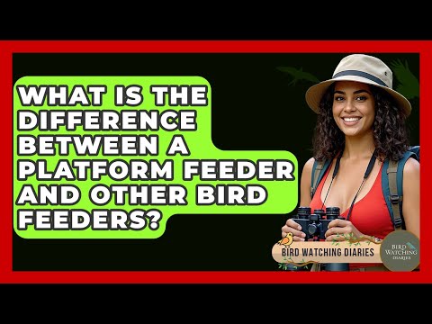 What Is The Difference Between A Platform Feeder And Other Bird Feeders? - Bird Watching Diaries