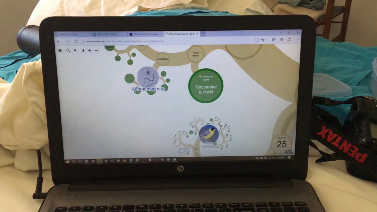 Cross browser performance test