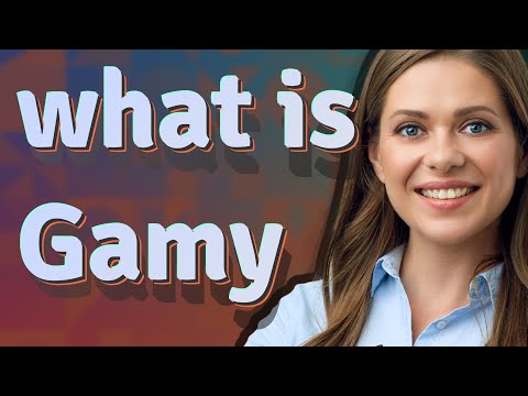 Gamy | meaning of Gamy