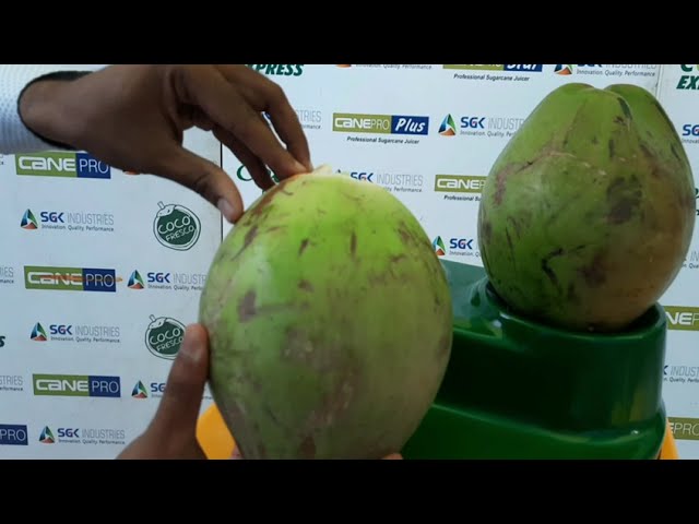 Coconut Water Pushcart - Coconut Water Vending Cart Manufacturer from ...