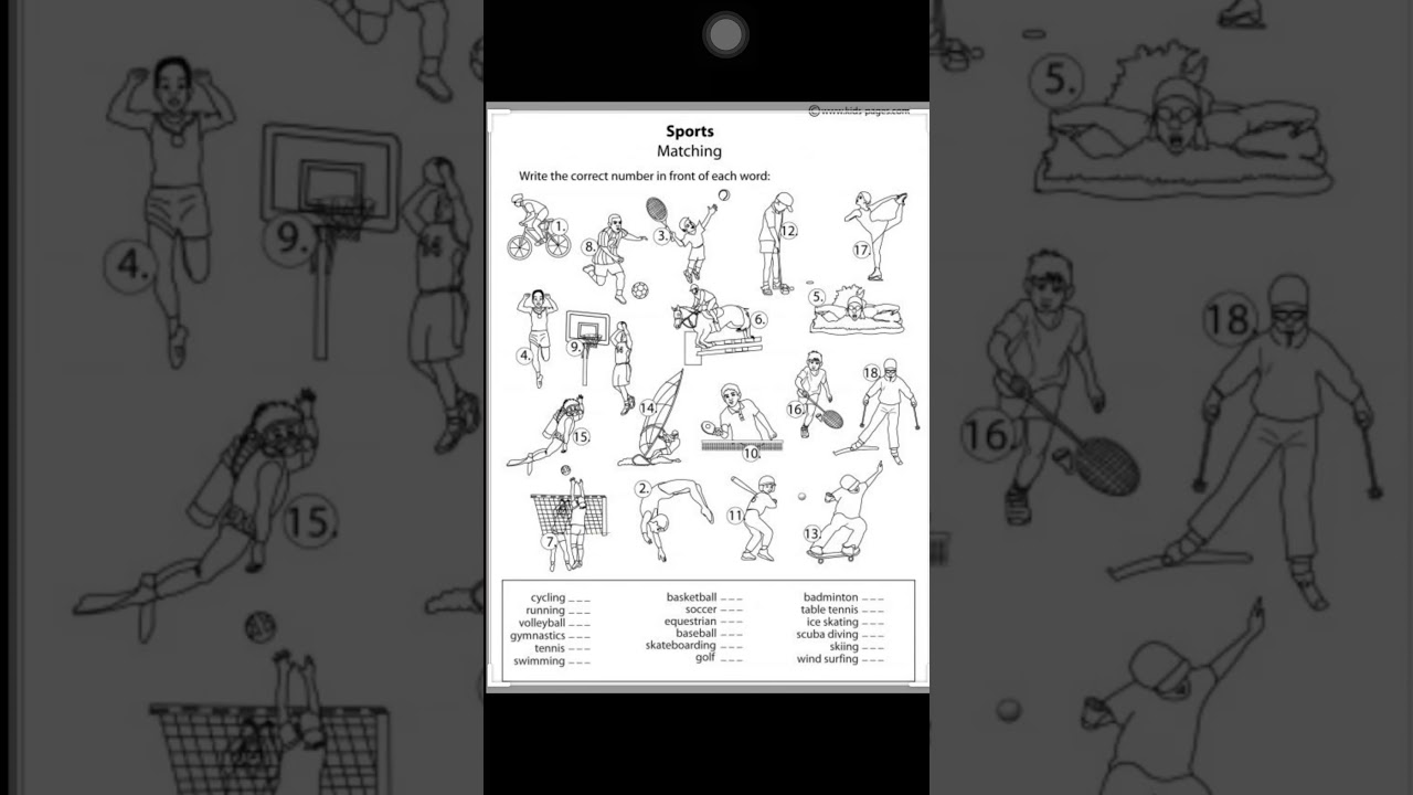 Sports worksheet exercises