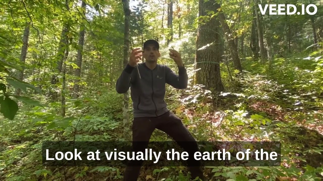 Which trees are good for a treehouse?