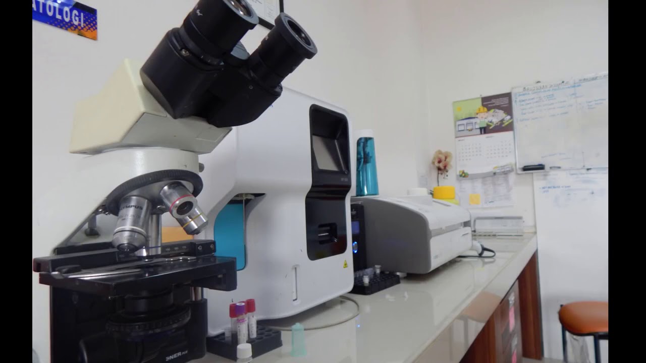 Profil Kimia Farma Laboratorium Klinik