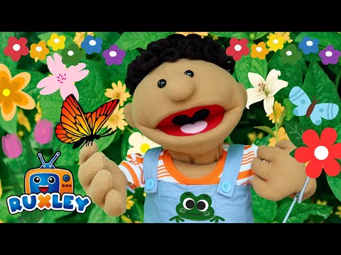 Celebrate Springtime with Ruxley | Nursery Rhymes + Spring Brain Breaks For Kindergarten + Learning