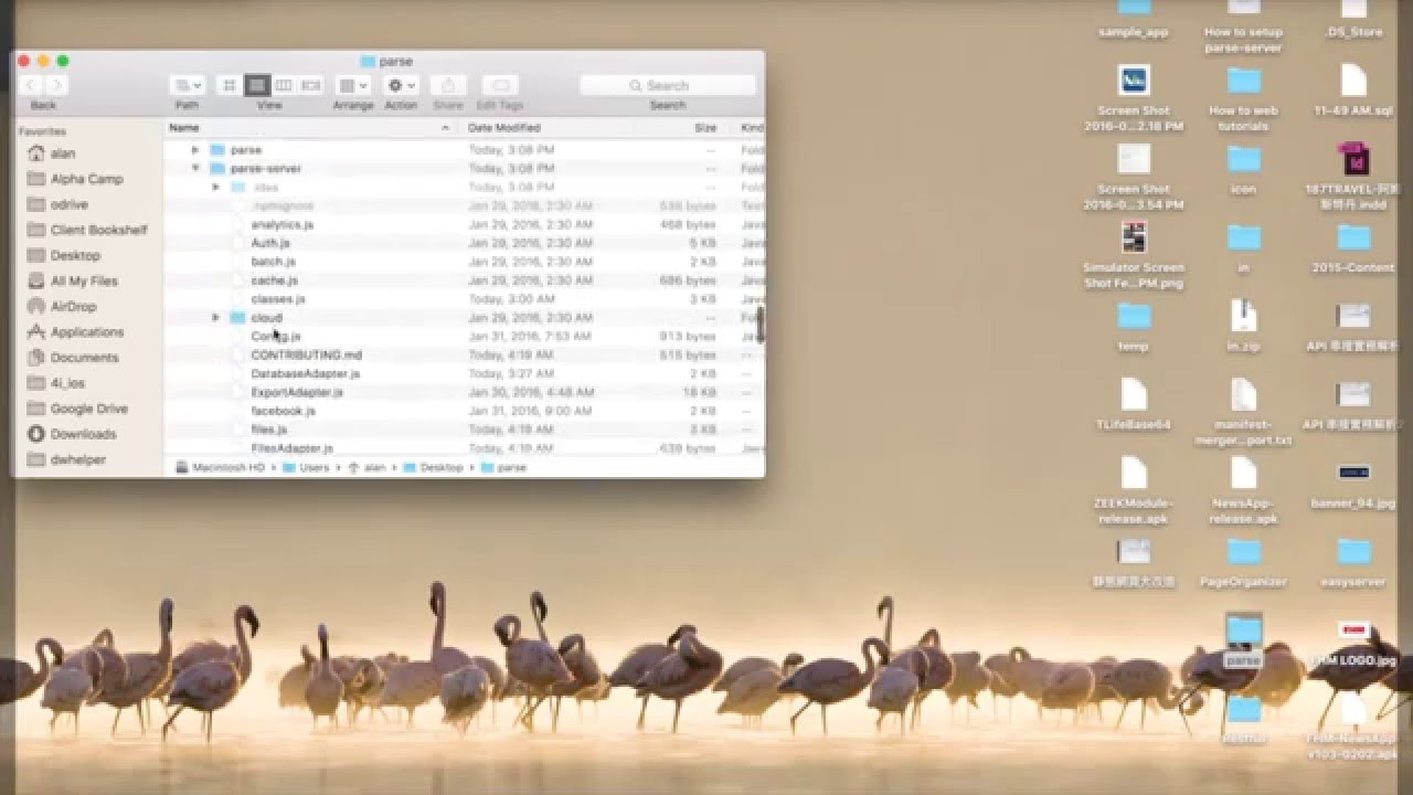Local parse server setup step by step