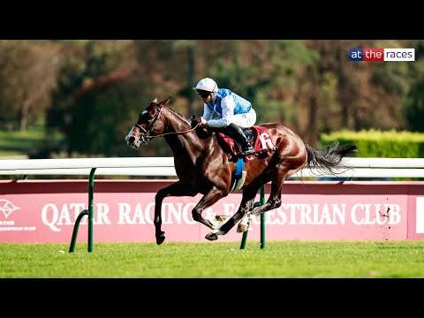 ニエル賞（G2） 2024/9/15(日) | 日程・結果 | JRA-VAN World - 海外競馬情報サイト