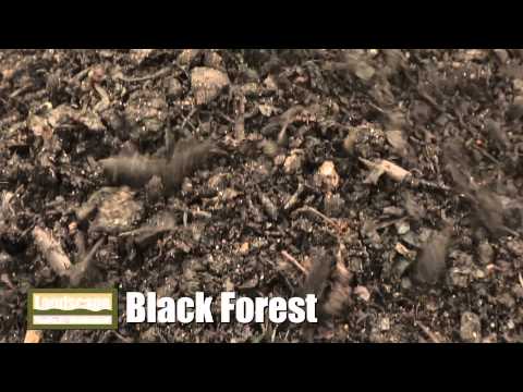 Bark Mulch Delivery near Newton, MA