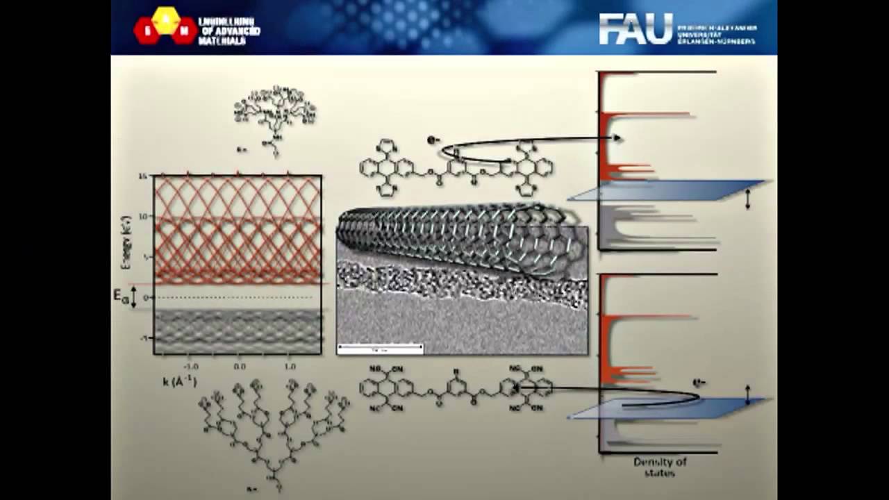 Nanocarbon Hybrids: The Paradigm of Nanoscale...