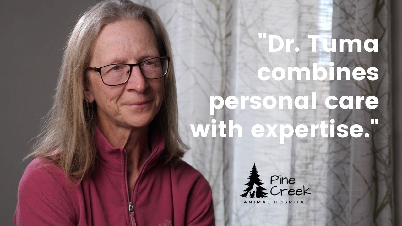 About Us - Pine Creek Animal Hospital