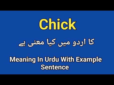 Chick meaning in urdu |english