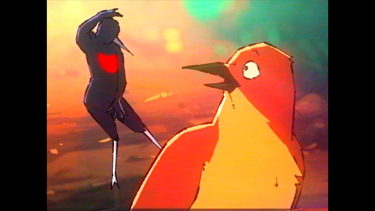 birds for some reason