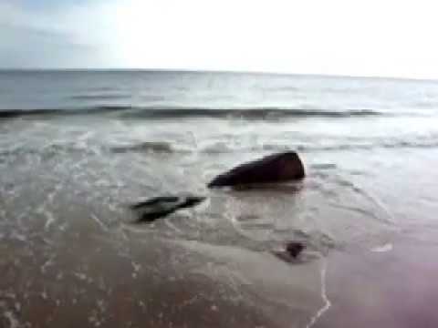 The Bat Qol – The Daughter of A Sound – The Still Small Voice | pastordawn