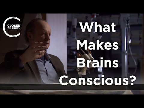 Joseph LeDoux - What Makes Brains Conscious?