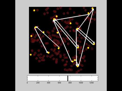 Network maps