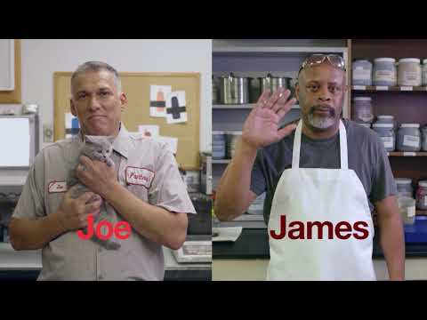 Pantone Color Systems