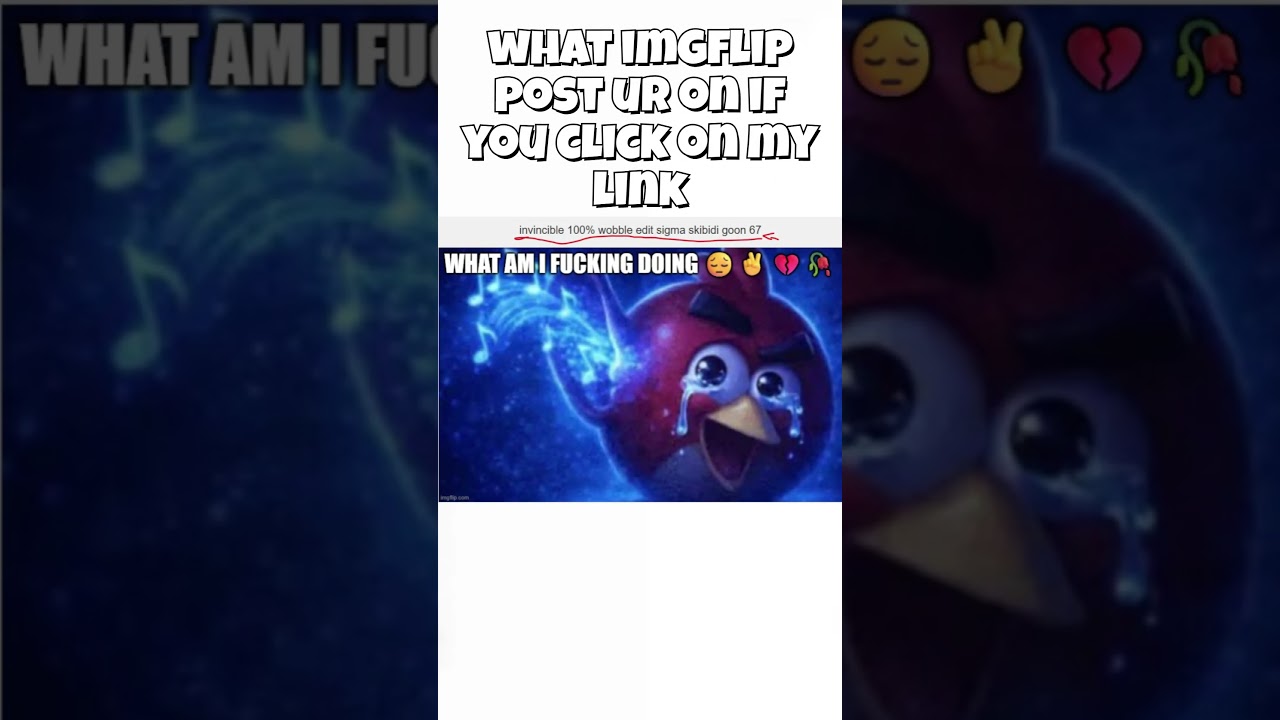 Average imgflip wander be like;