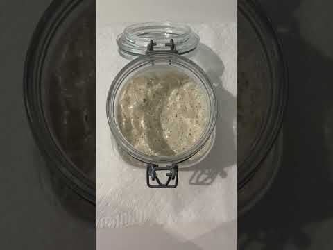 Do You Name Your Sourdough Starter? #Shorts