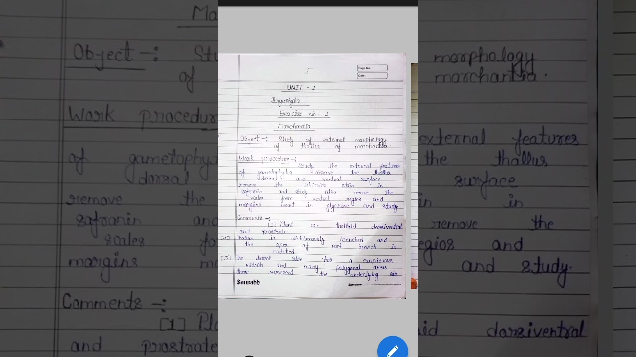 bsc 1st sem. (botany practical file ) || Eperiment no.1