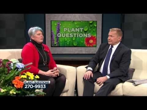 Lisa answers your plant and gardening questions