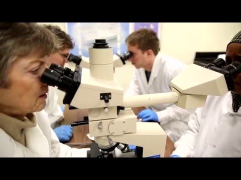 School of Health and Rehabilitation Sciences - Medical Laboratory Science