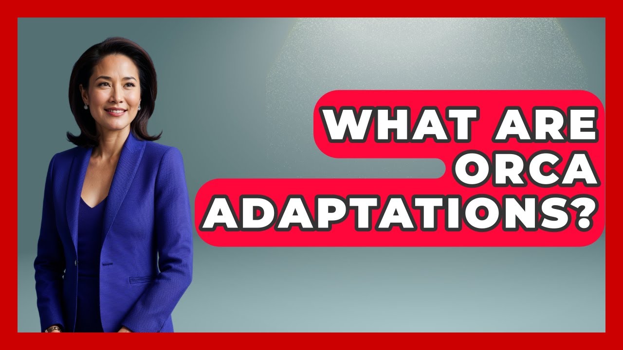 What Are Orca Adaptations? - The Wild Life Explorer