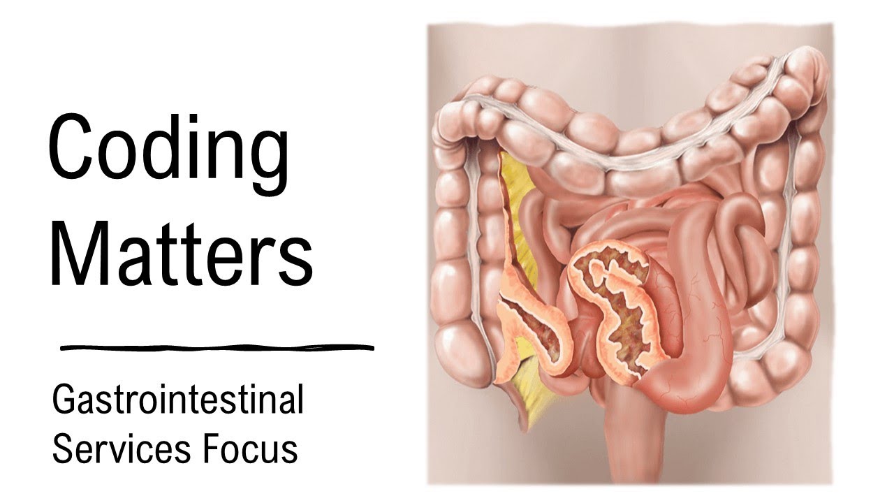 Coding Matters: Gastrointestinal Services