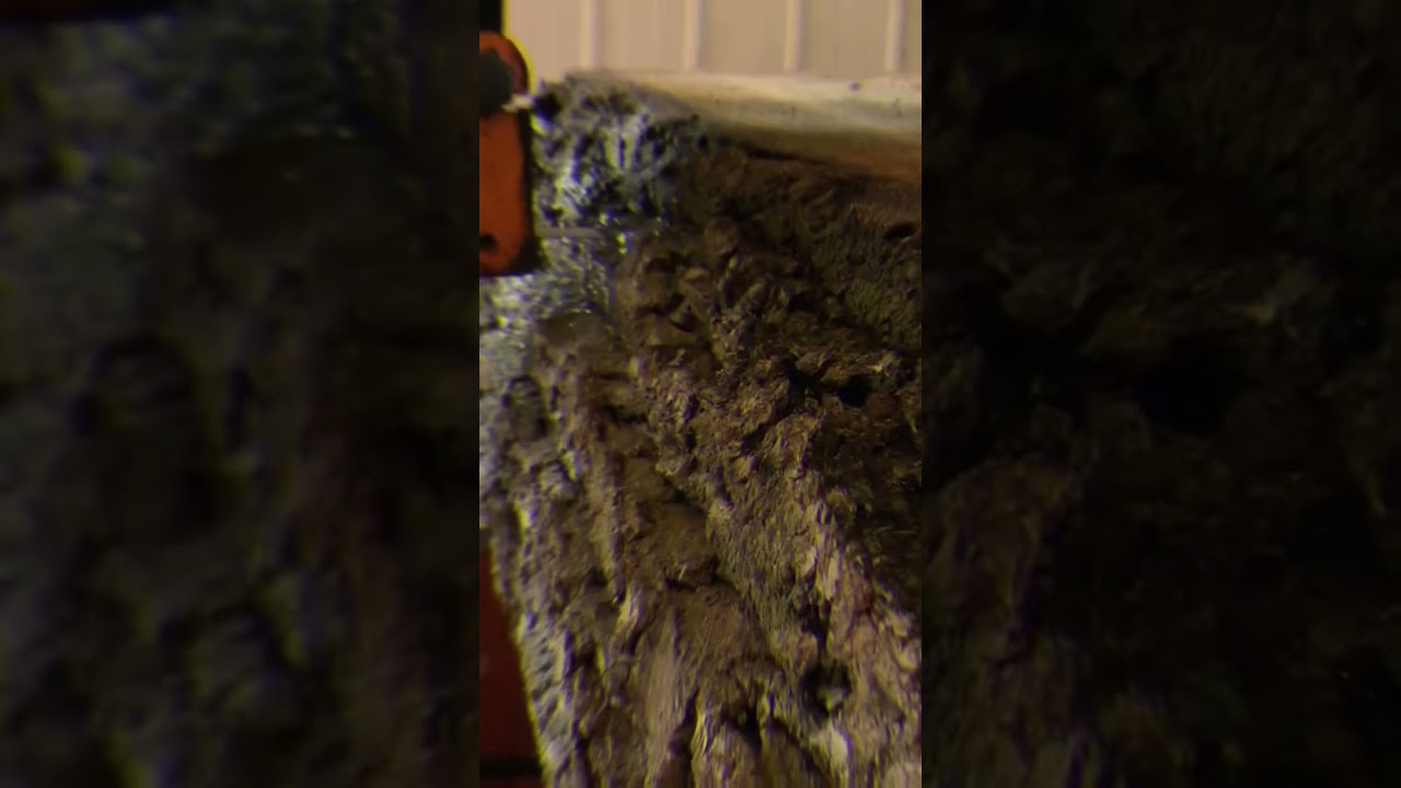 Unlock the Secrets of Milling Walnut! #WoodWorkingRevolution