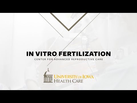 In Vitro Fertilization