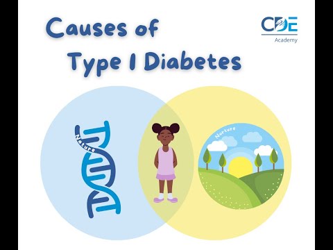 Diabetes In A Minute: Causes of Type 1 diabetes